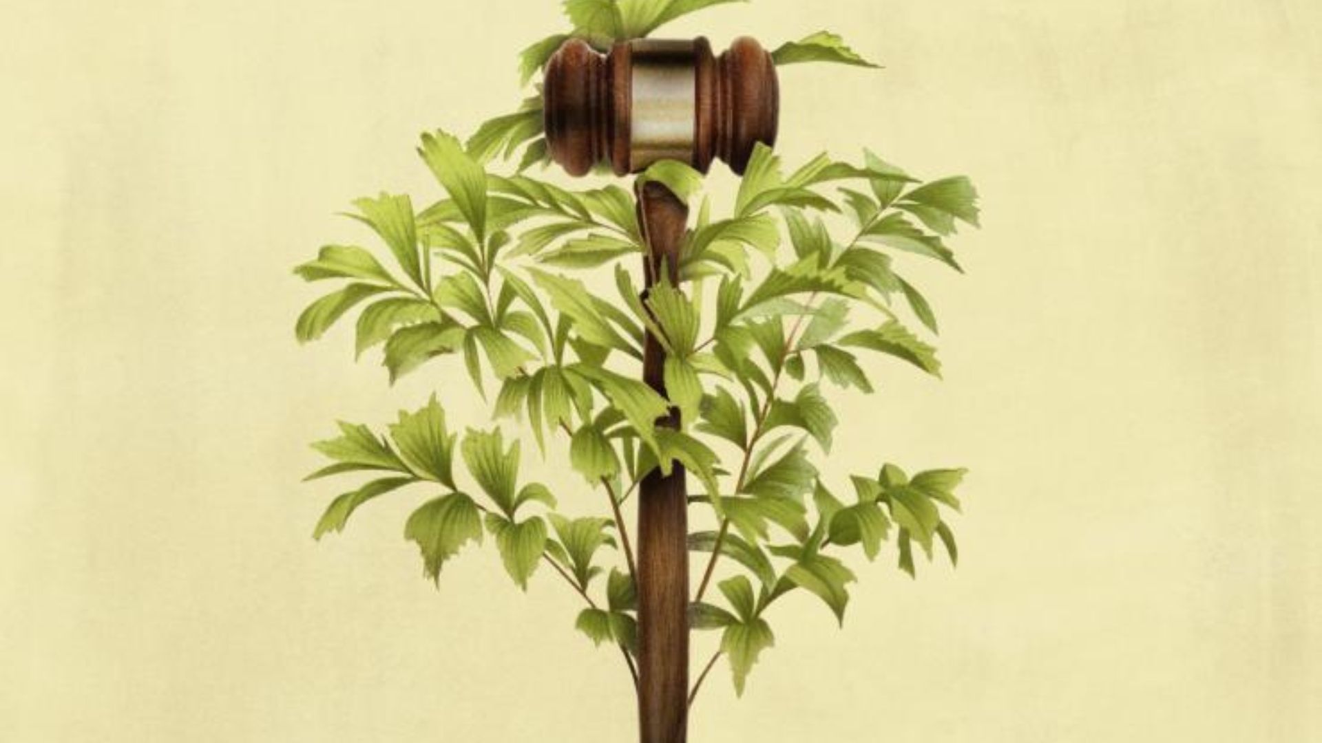 5 Hal yang Harus Anda Ketahui tentang Pembenaran - Pelayanan Ligonier